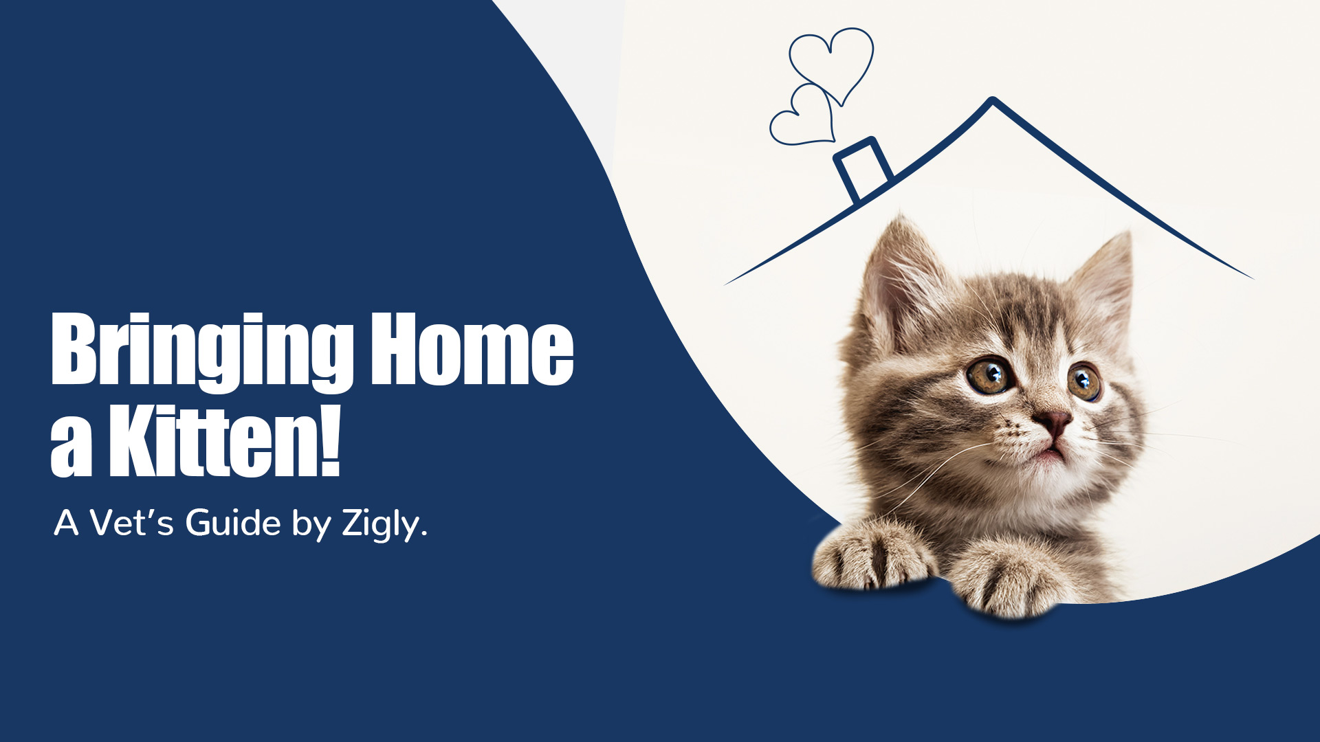 Zigly Vet Care Limited