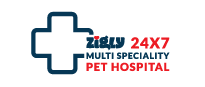 Zigly Vet Care Limited